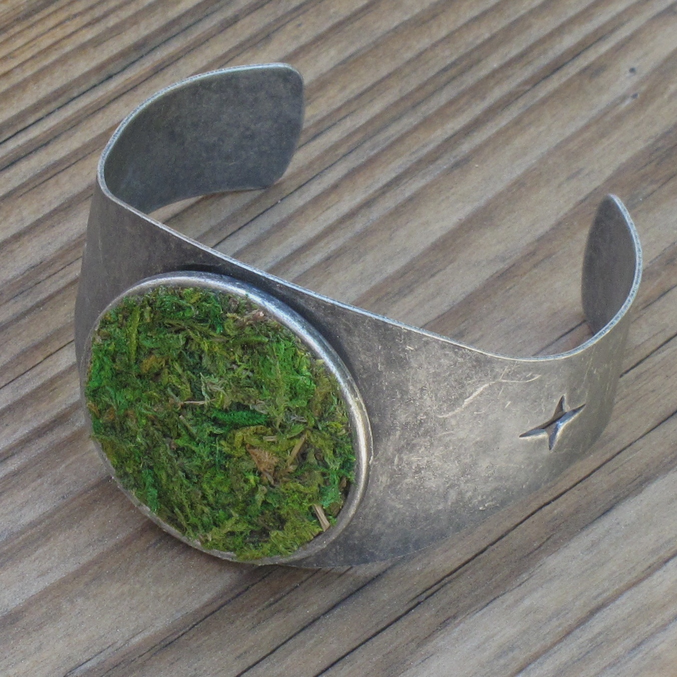 Growing Moss Jewelry – Jewelry Making Journal